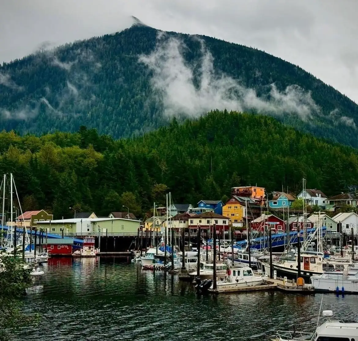 Top Ketchikan Travel Tips | Rainforest Sightseeing Tour